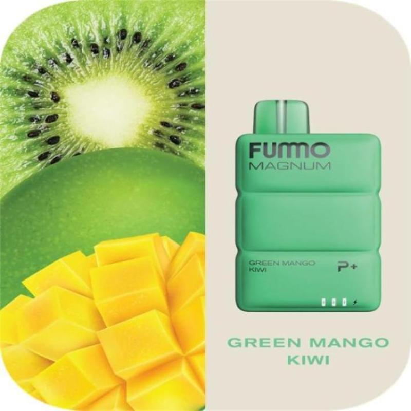 FUMMO MAGNUM 8000 Puffs Disposable Vape (20mg) - FUMMO – Vape Station